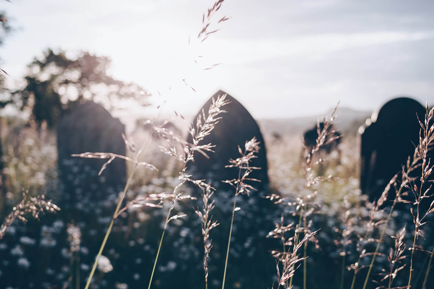 Funeral Solution Expert | Helping Make Sense of Funeral Planning