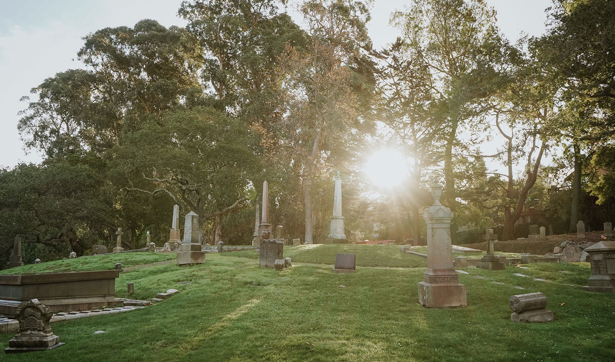 In the media - Funeral Solution Expert