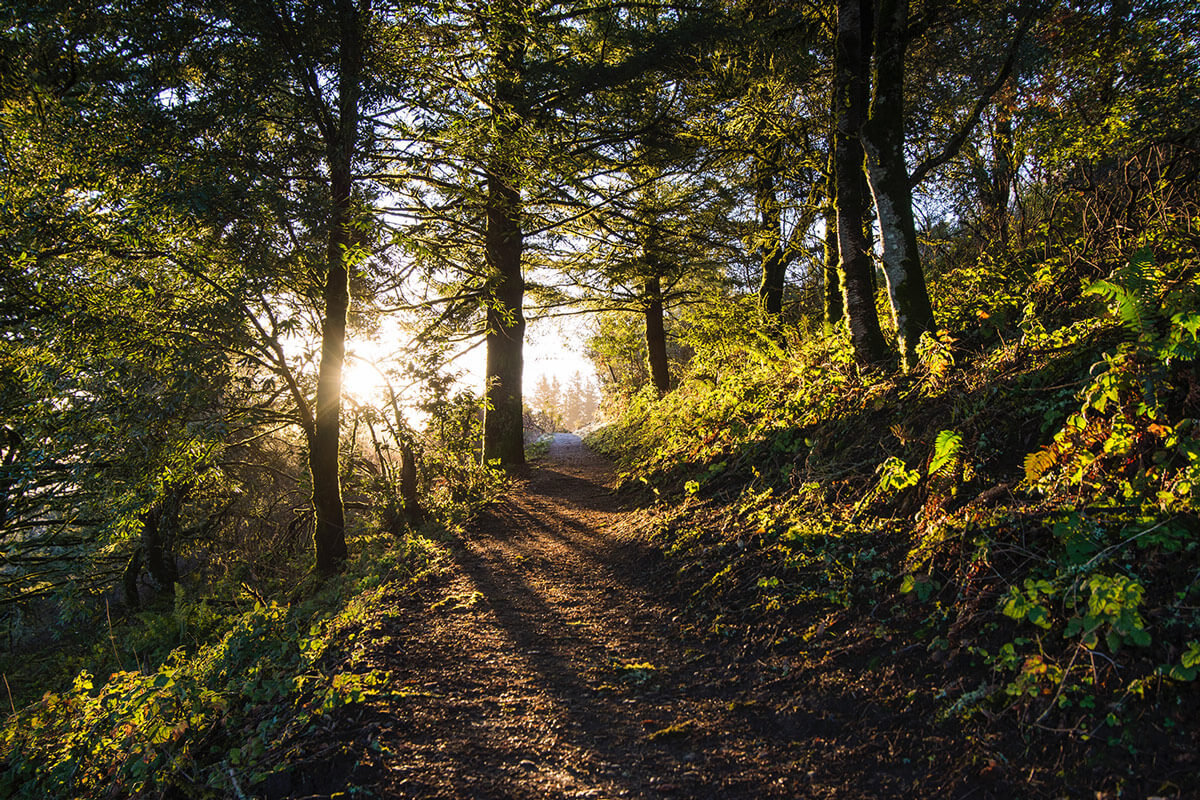 Environmental impact – how consumers judge new and existing body ...
