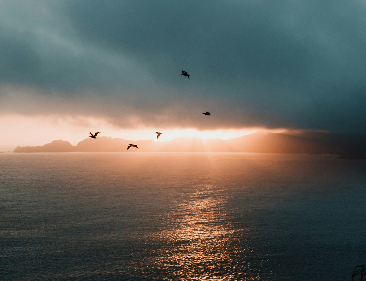 UK Funeral plan market: starting to settle but mind the gap! - Funeral ...